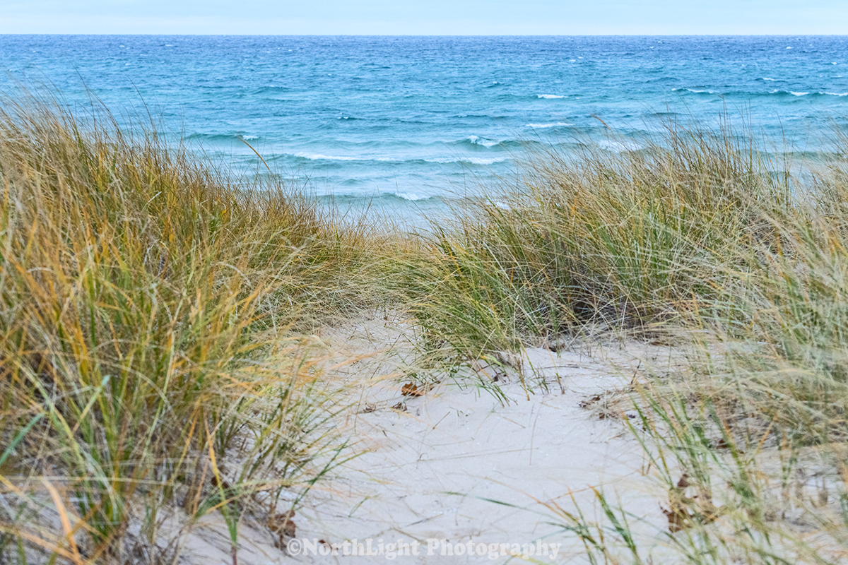 PICTURE TODAY: Explore Ludington State Park and Michigan’s Natural ...