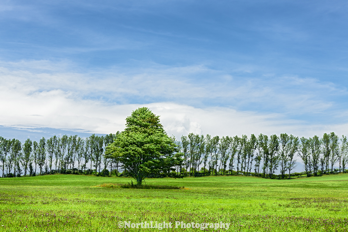 Picture Today: Exploring Michigan’s Country Roads – NorthLight Photography