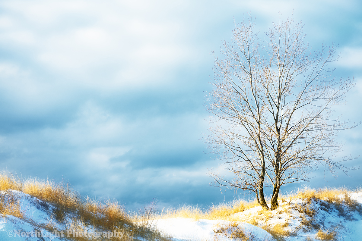 Picture Today: Sunlit Winter Dunes and Scenic Views in Ludington State ...